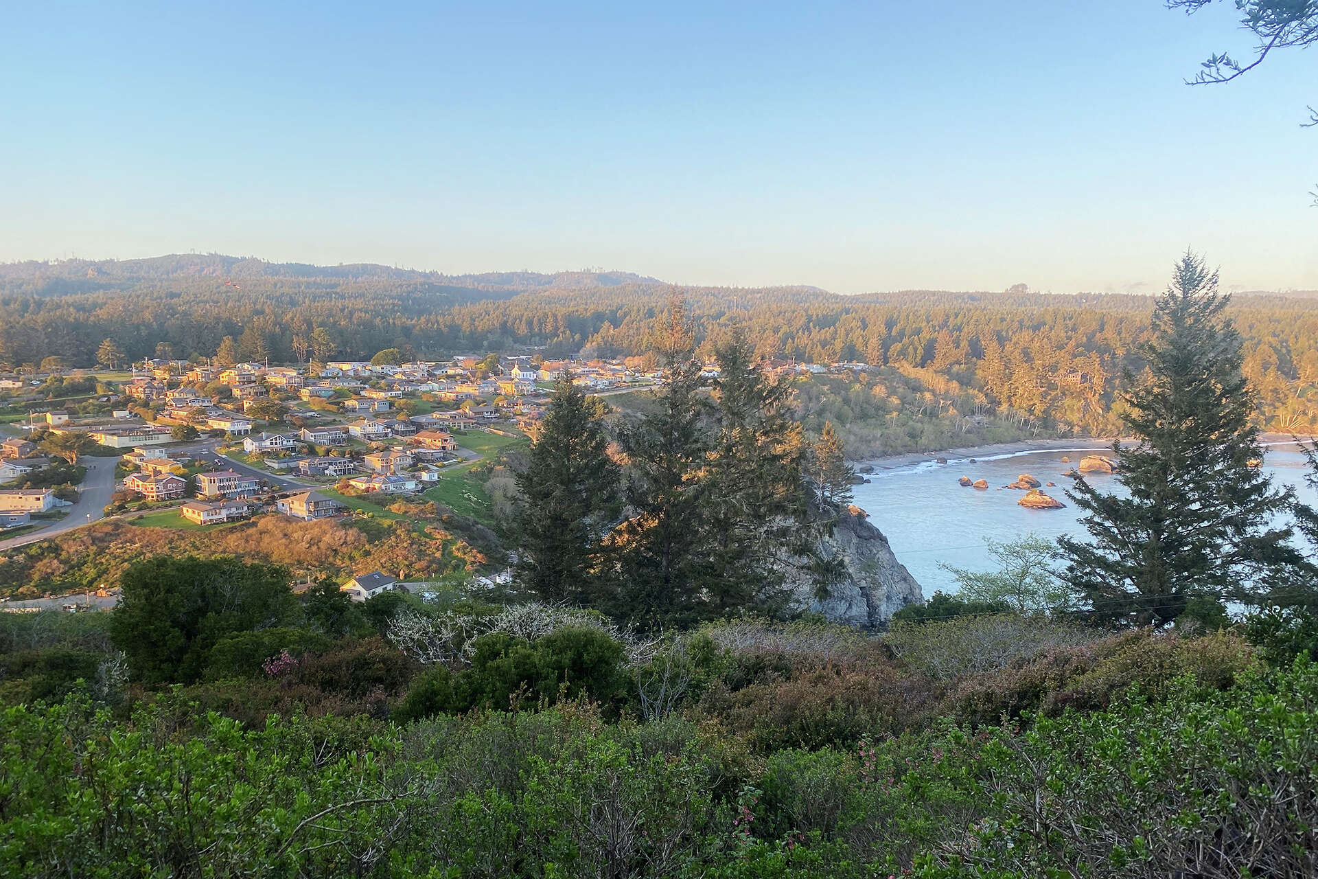 Trinidad Head is the easiest and loveliest hike on the Calif. coast