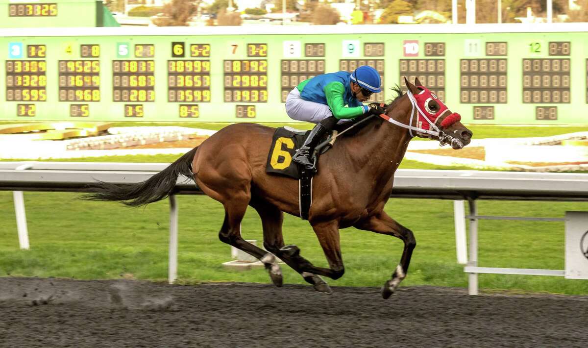 Rio King out to prove his worth at $250,000 San Francisco Mile