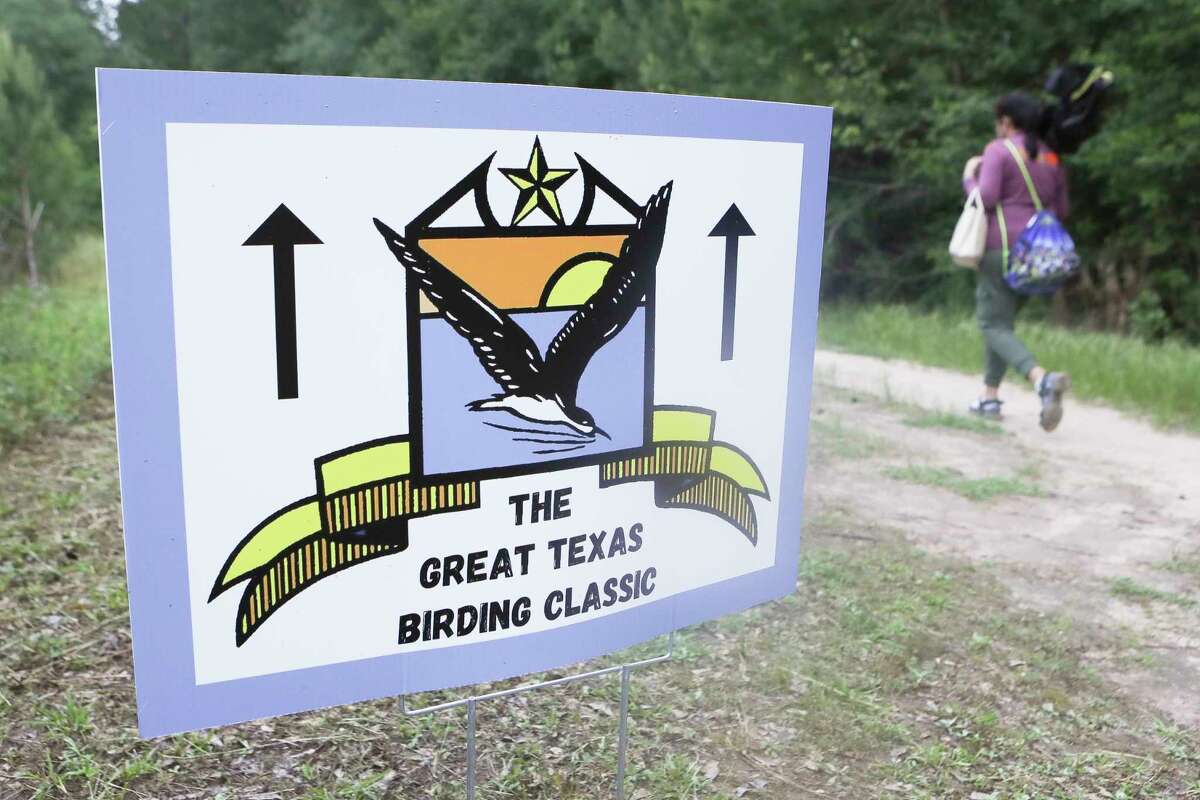 Birdwatchers roost in Woodlands for annual Texas birding competition