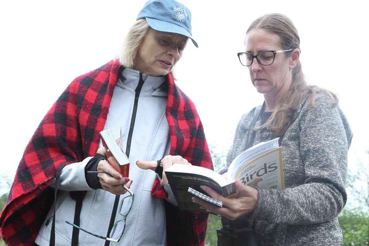 Birdwatchers roost in Woodlands for annual Texas birding competition