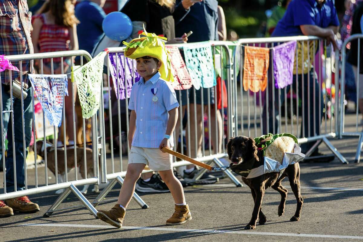 Fiesta's Pooch Parade takes over Alamo Heights