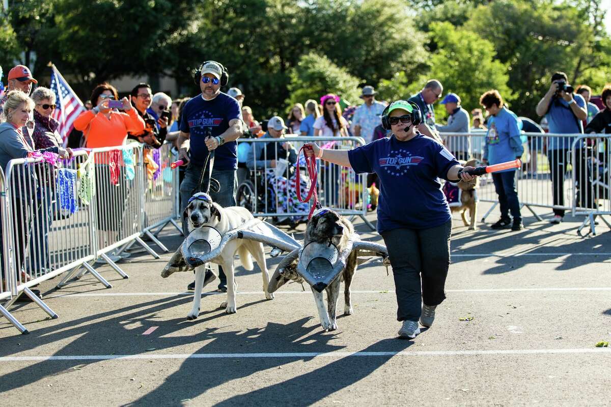 Fiesta's Pooch Parade takes over Alamo Heights
