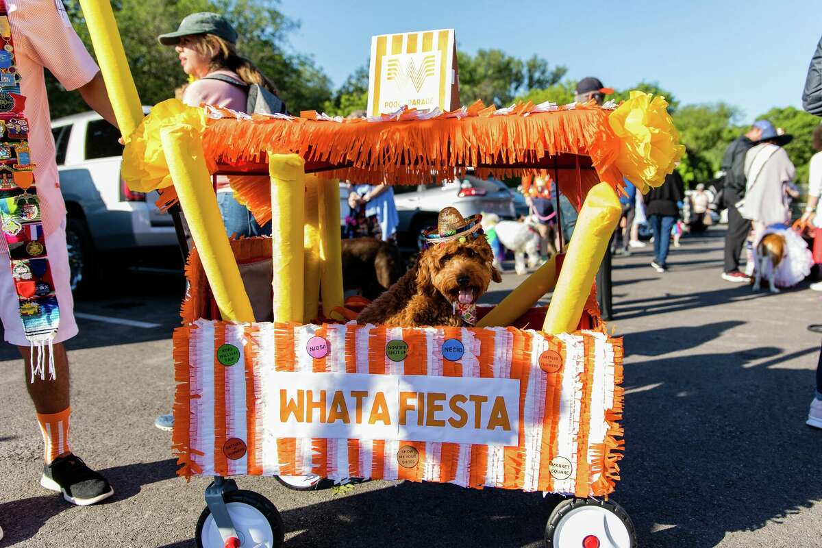 Fiesta's Pooch Parade takes over Alamo Heights