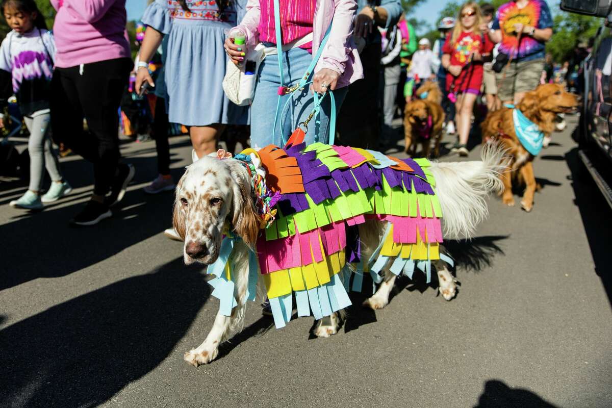 Fiesta's Pooch Parade takes over Alamo Heights