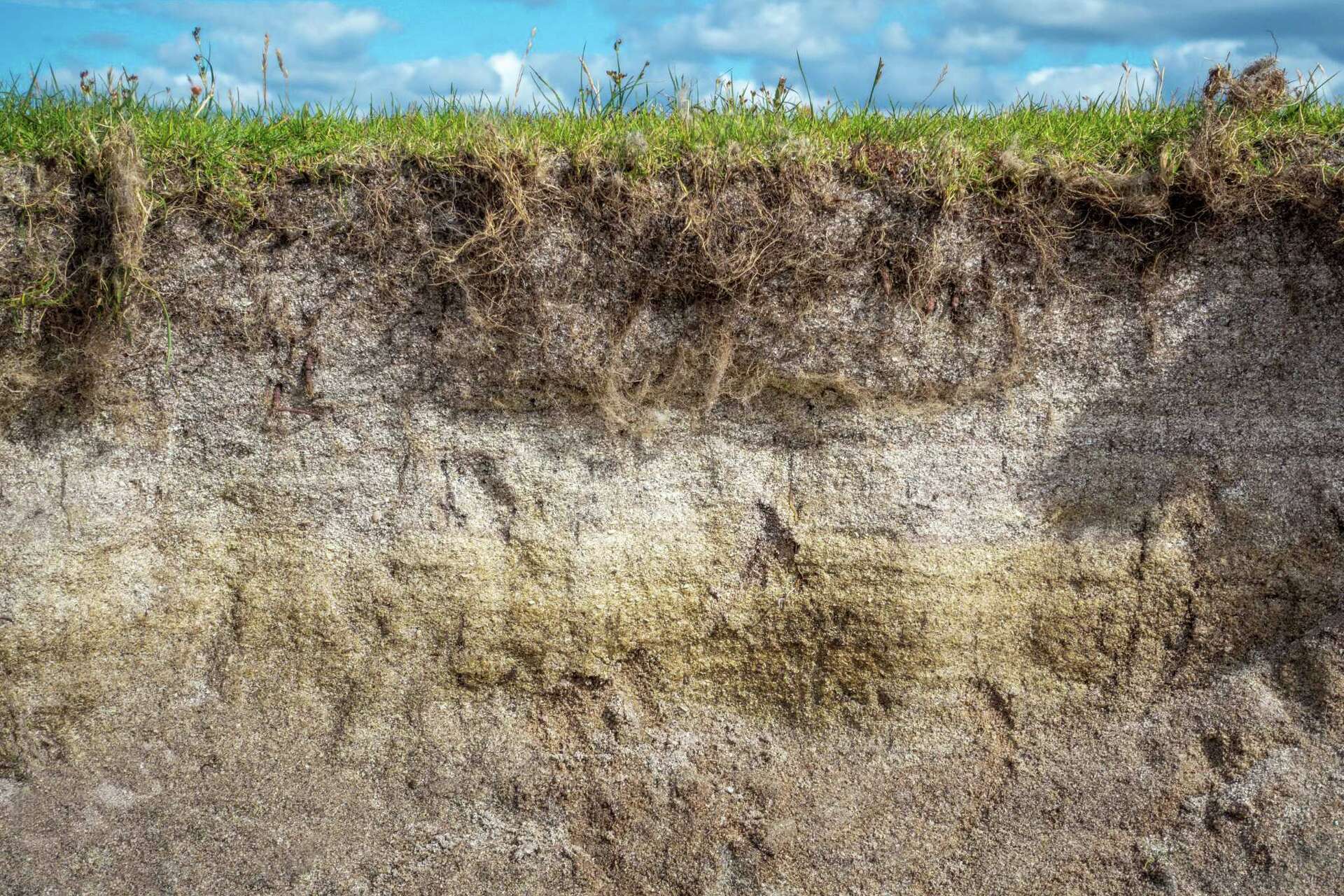 Characteristics of Sandy Loam Soil