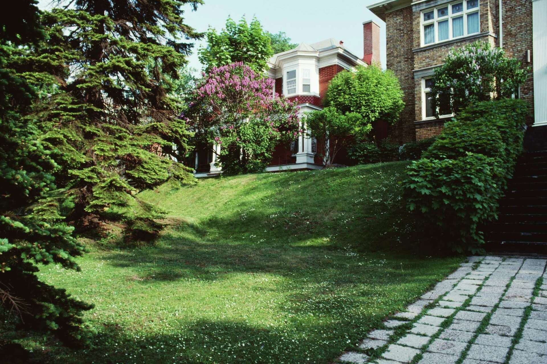 How to Stop a Washout on a Hillside Landscape