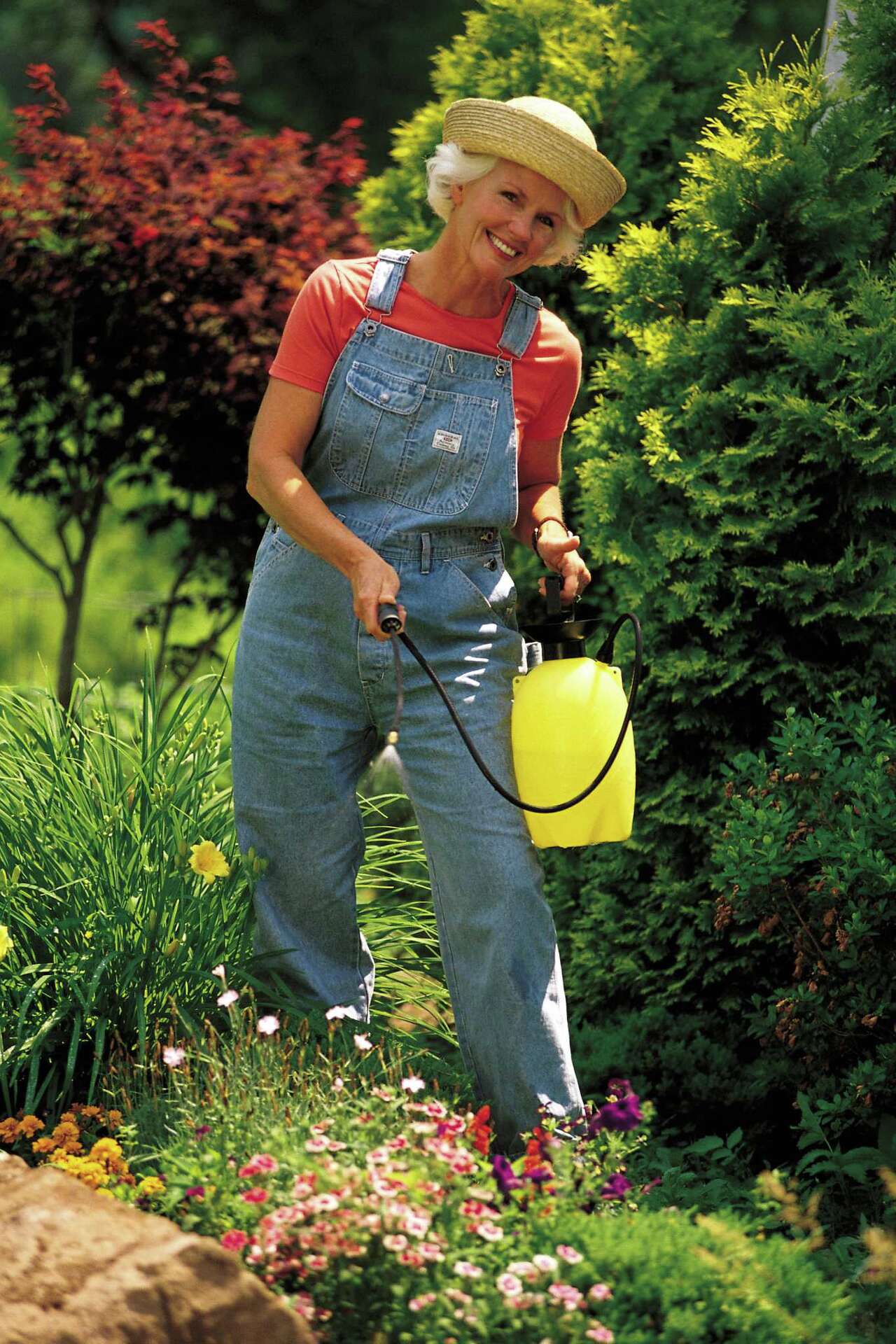 Are Fungicides Sprayed on Fruit Trees & Vegetables?