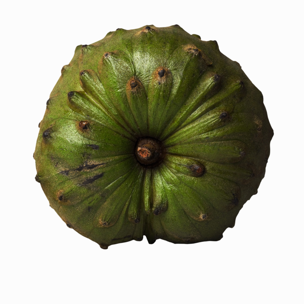 How to Prune a Cherimoya Tree