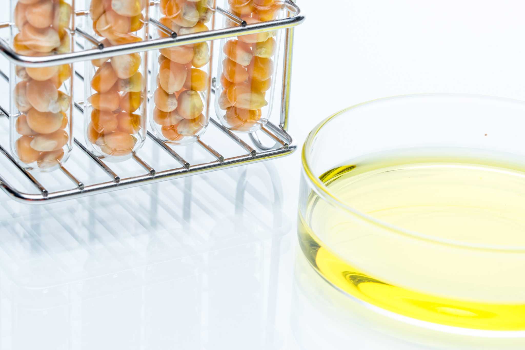 Allergy Symptoms of High Fructose Corn Syrup