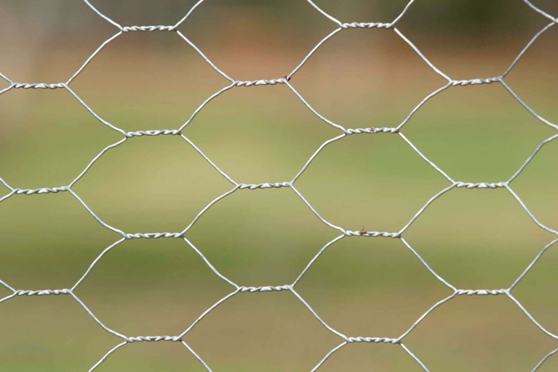 How to Create a Fence With Chicken Wire for Climbing Vines