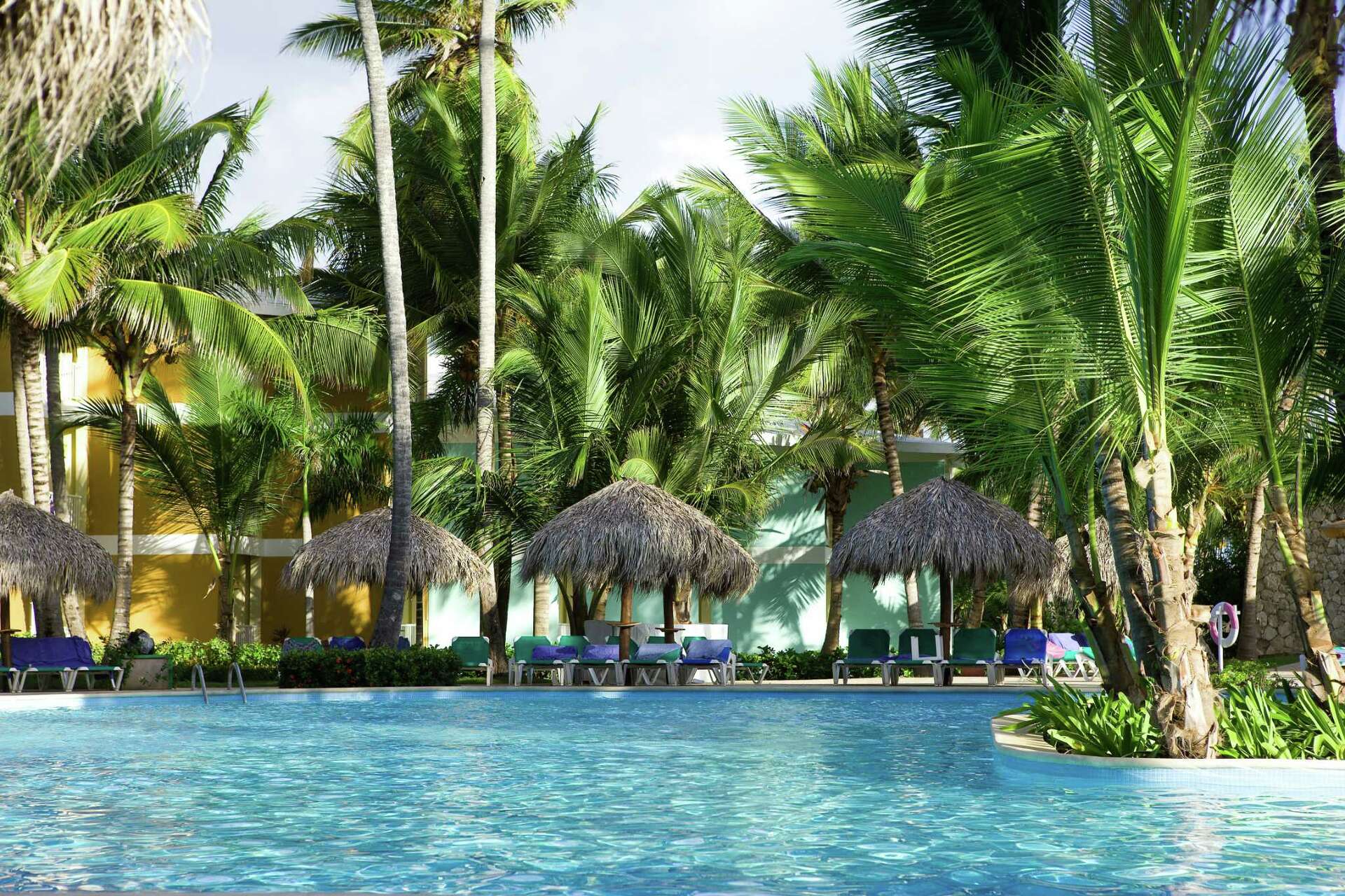 Chlorine Tolerant Plants