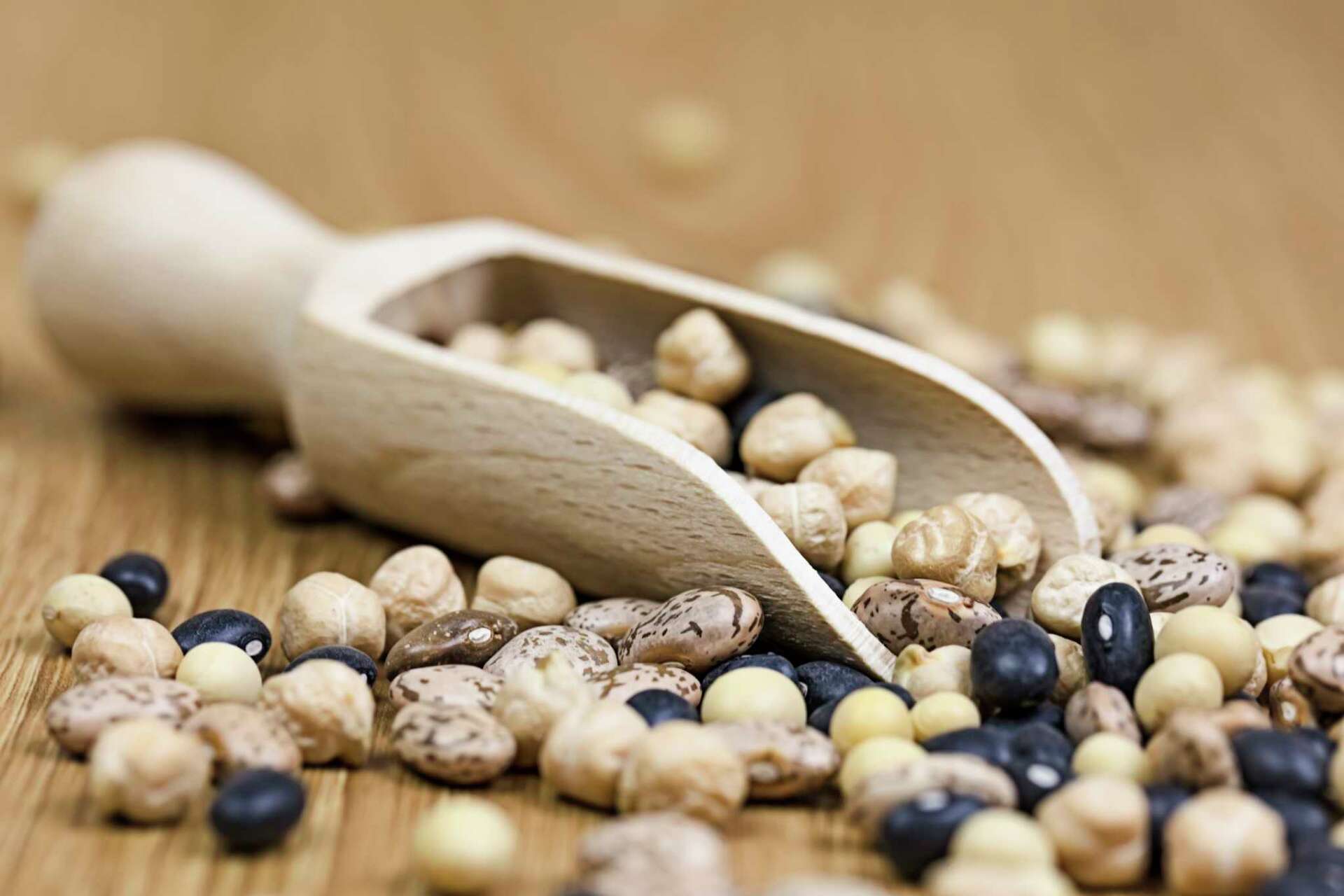 What Bean Has the Most Fiber?