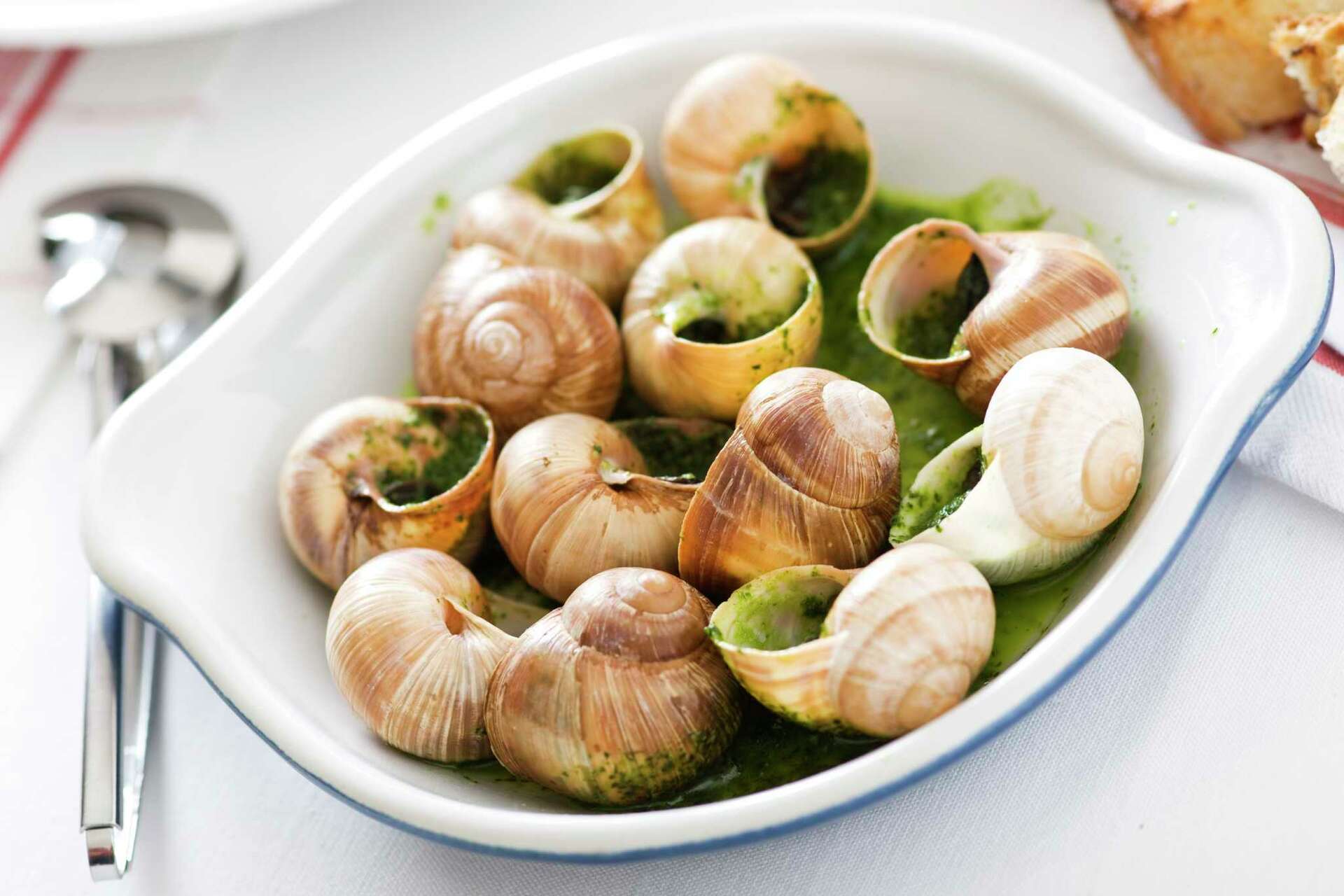 What are the Benefits of Escargot?