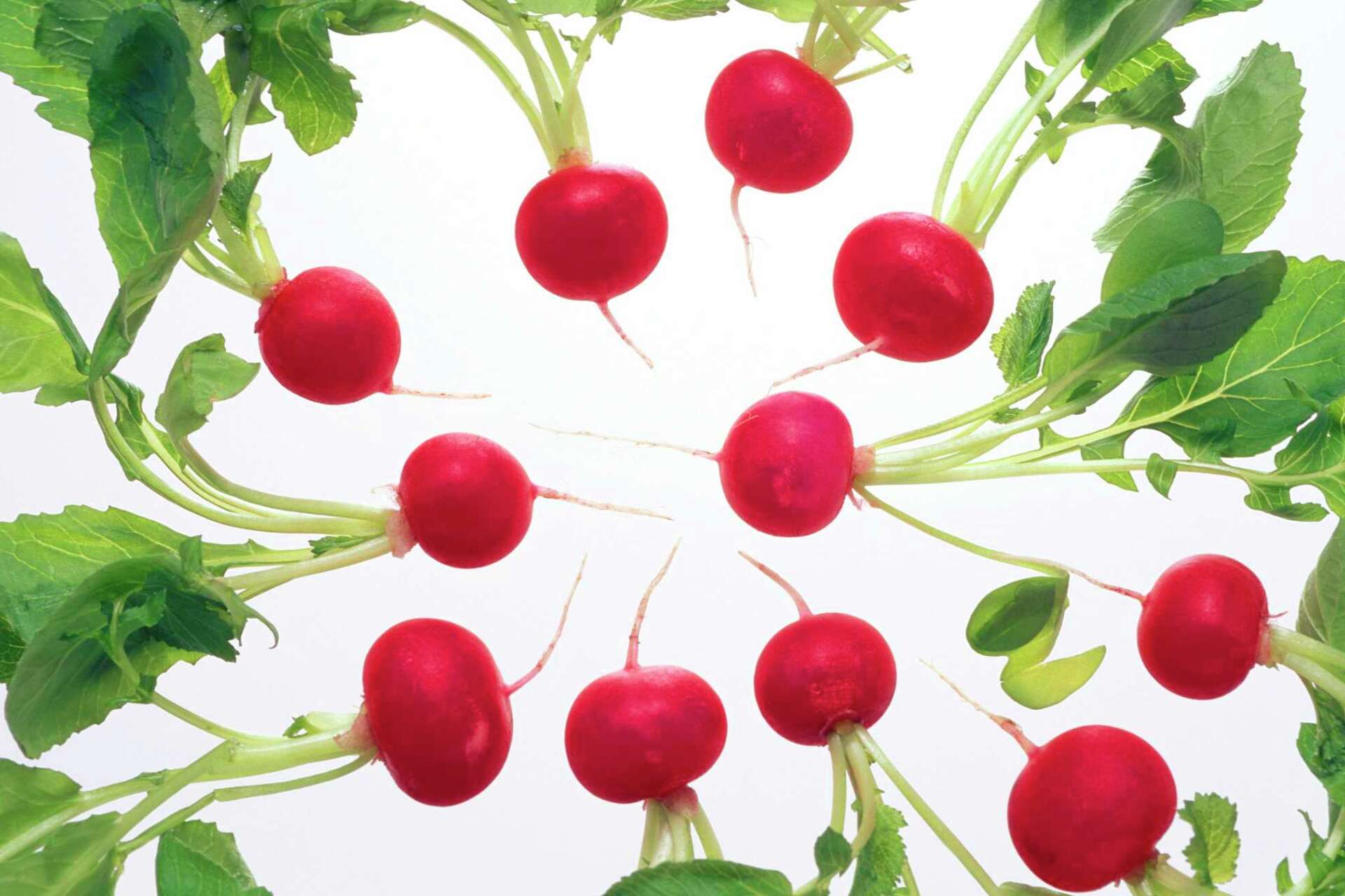 Benefits of Juicing Radishes