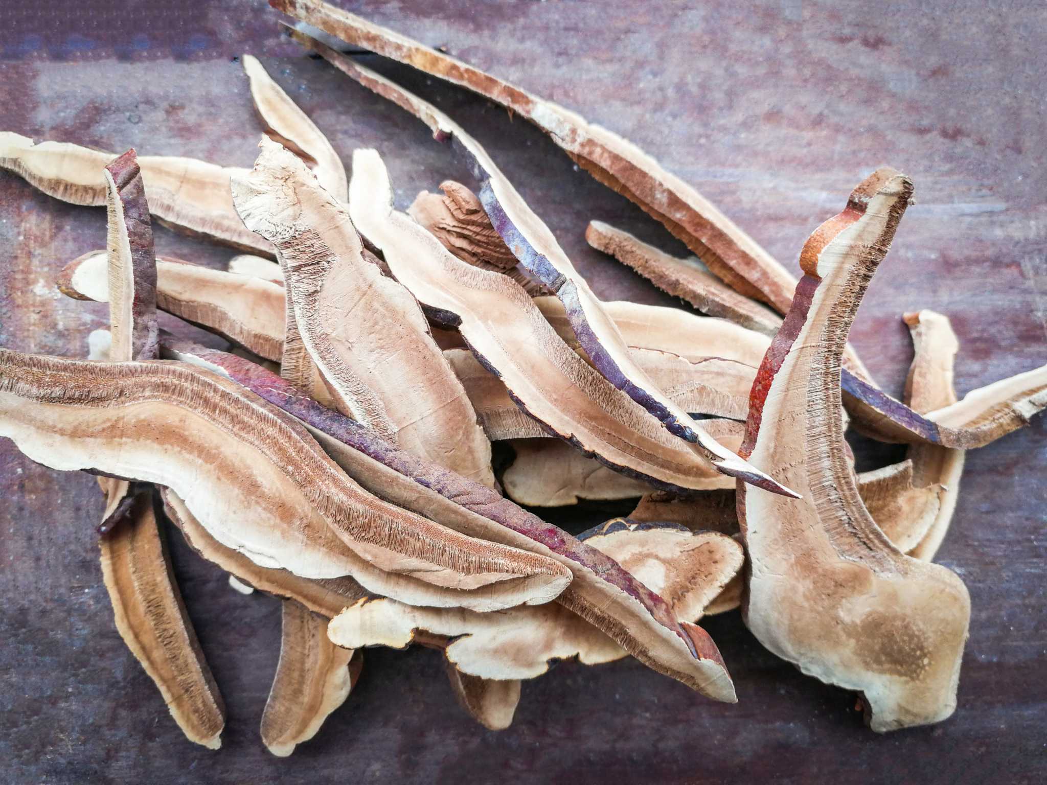 The Benefits of Lingzhi