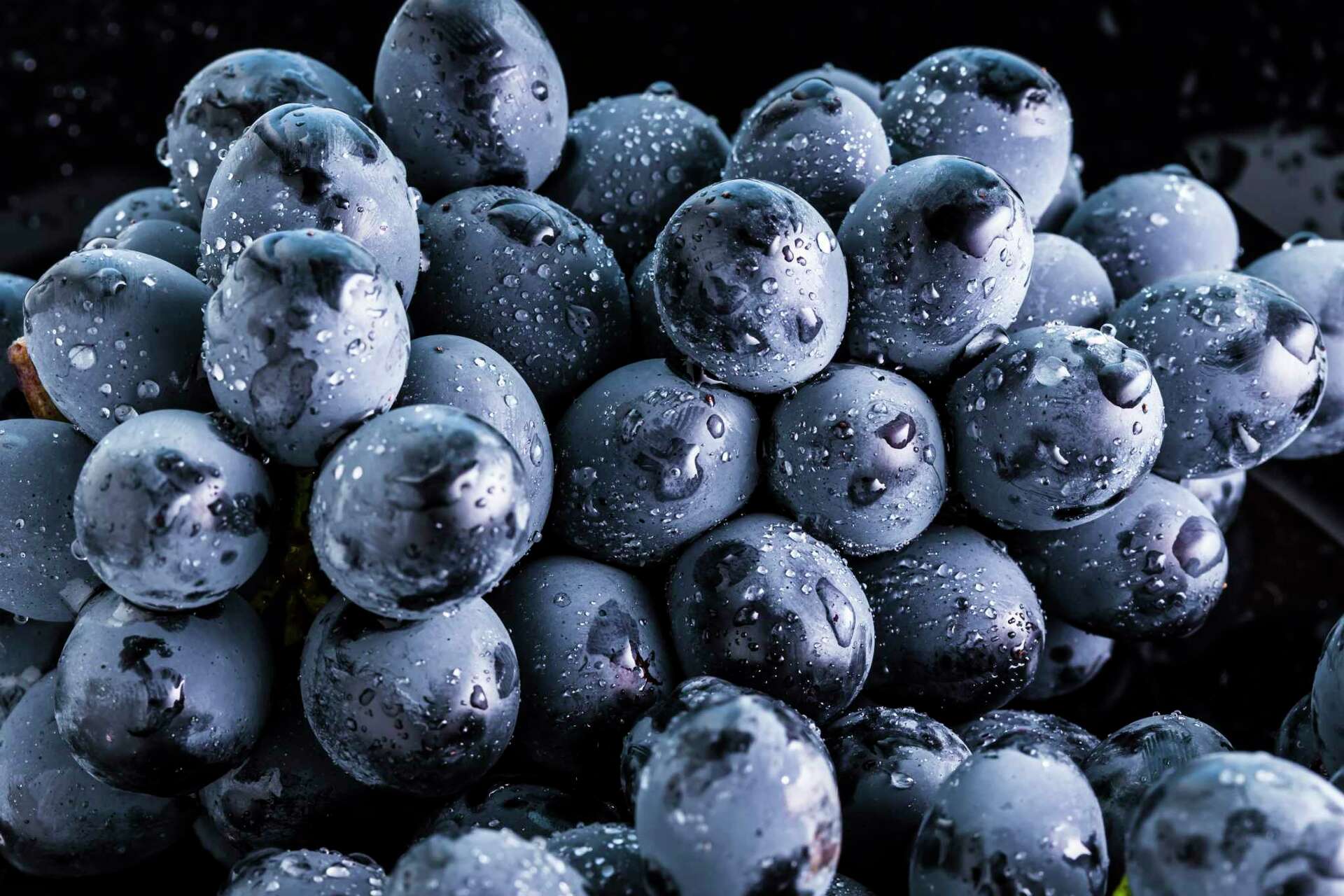 What Are the Benefits of Merlot Wine?