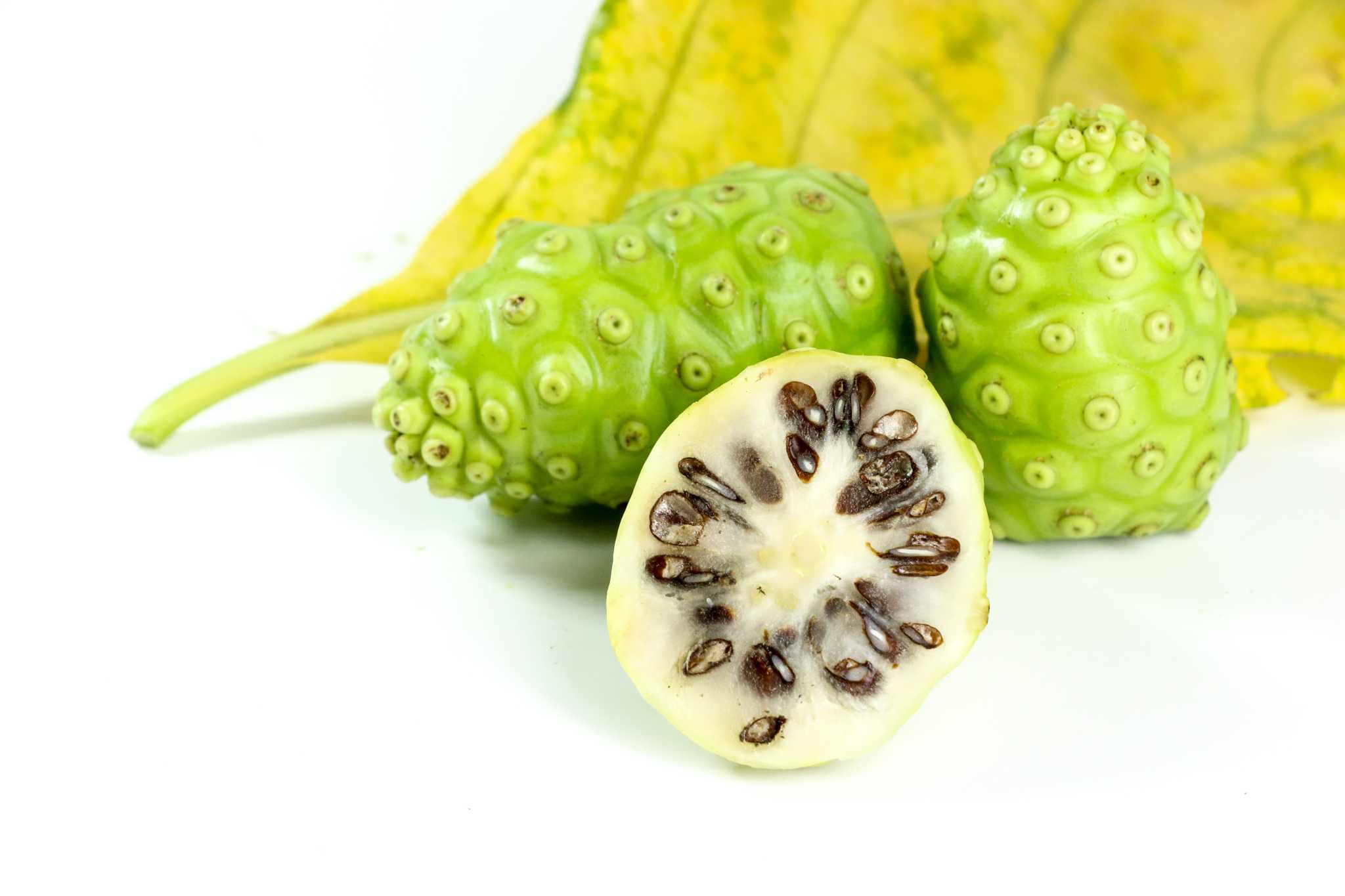 What Are the Benefits of Noni Fruit?