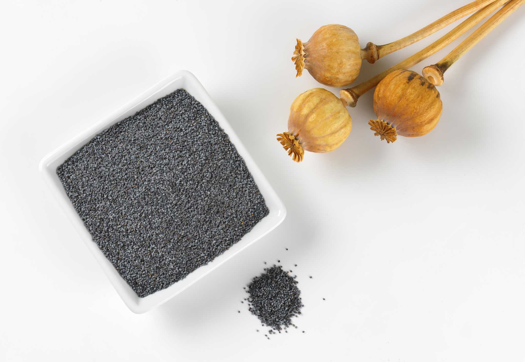 What Are the Benefits of Poppy Seeds?