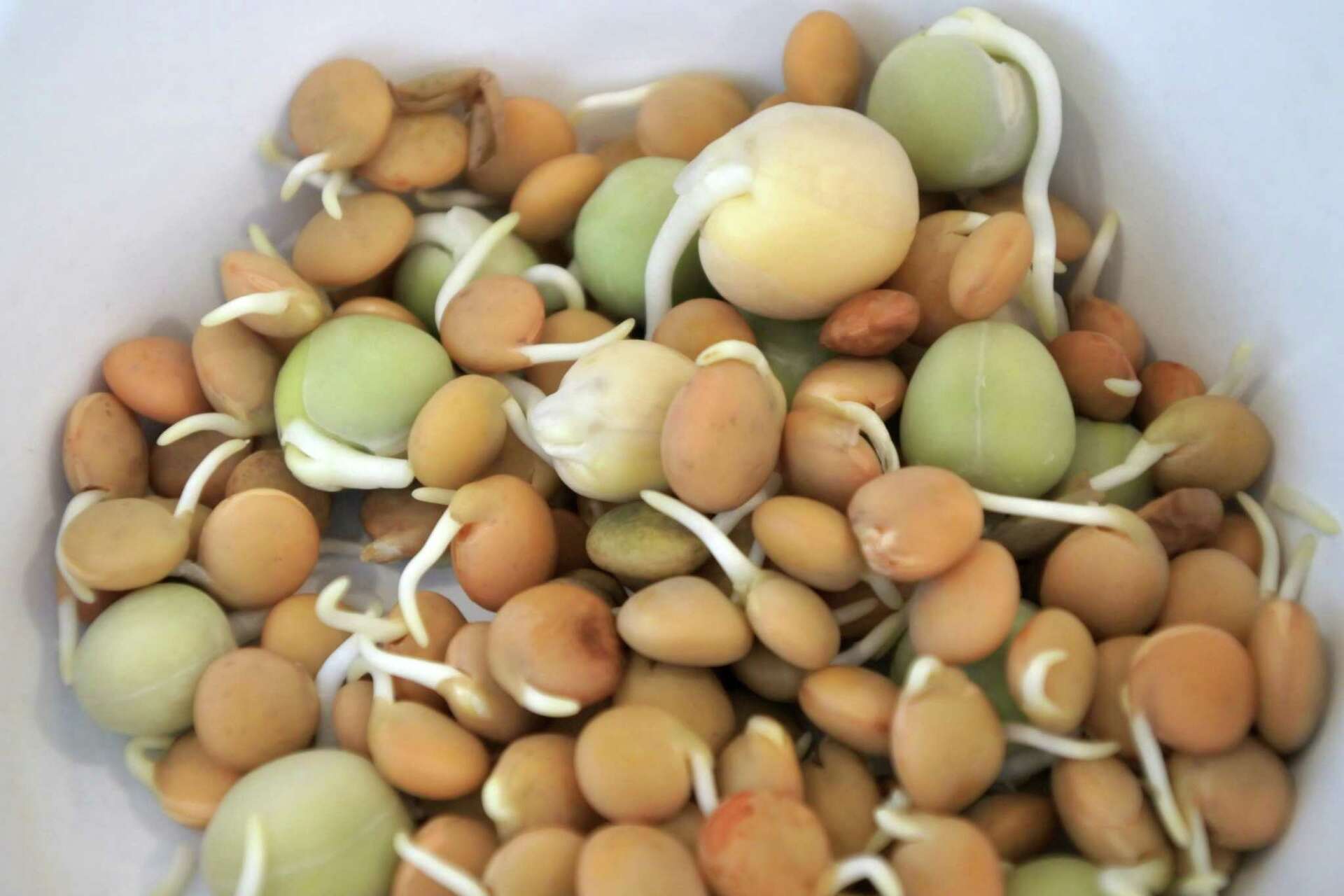 What Are the Benefits of Sprouted Nuts?