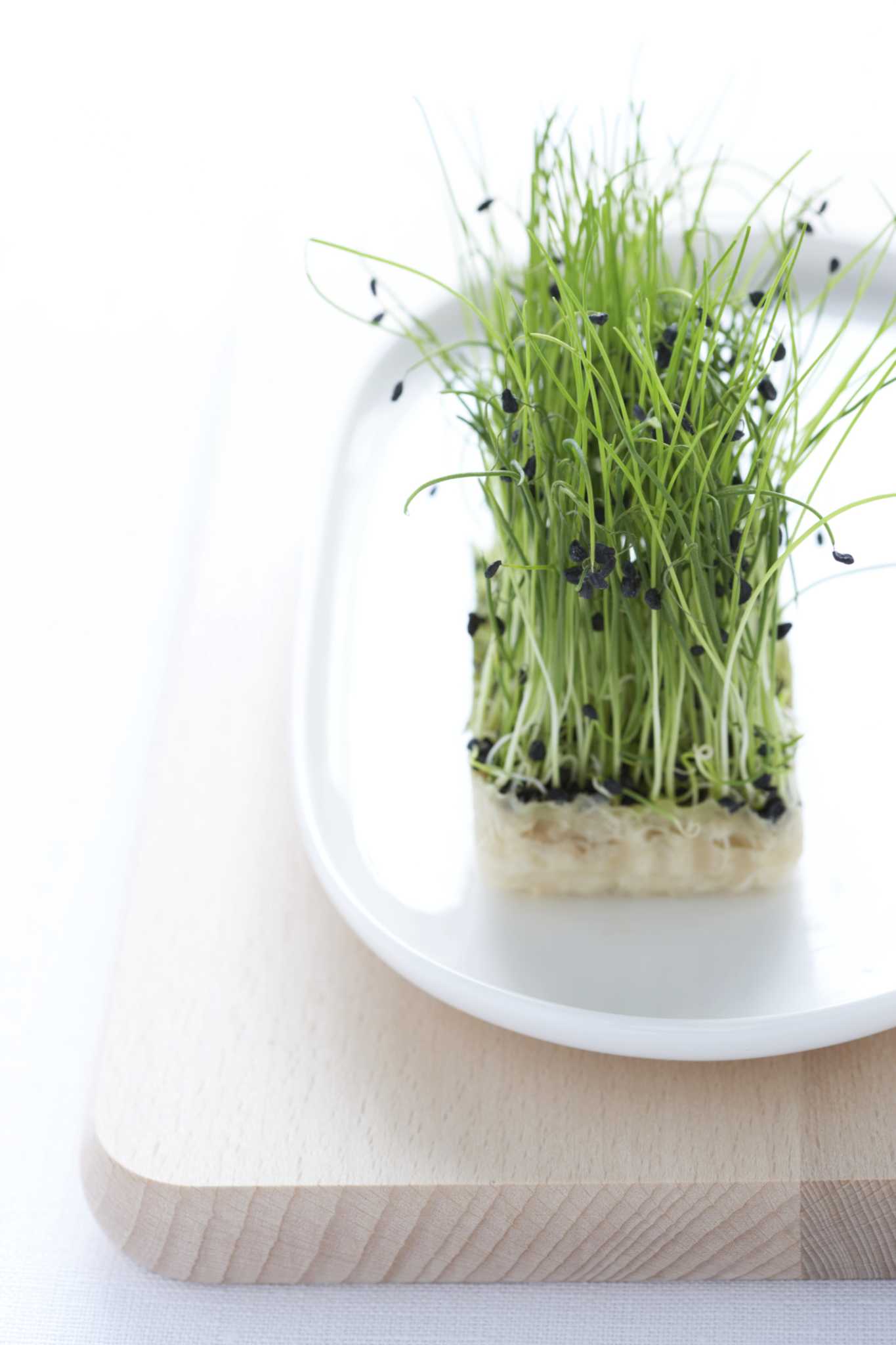 Blood Type B and Sprouts