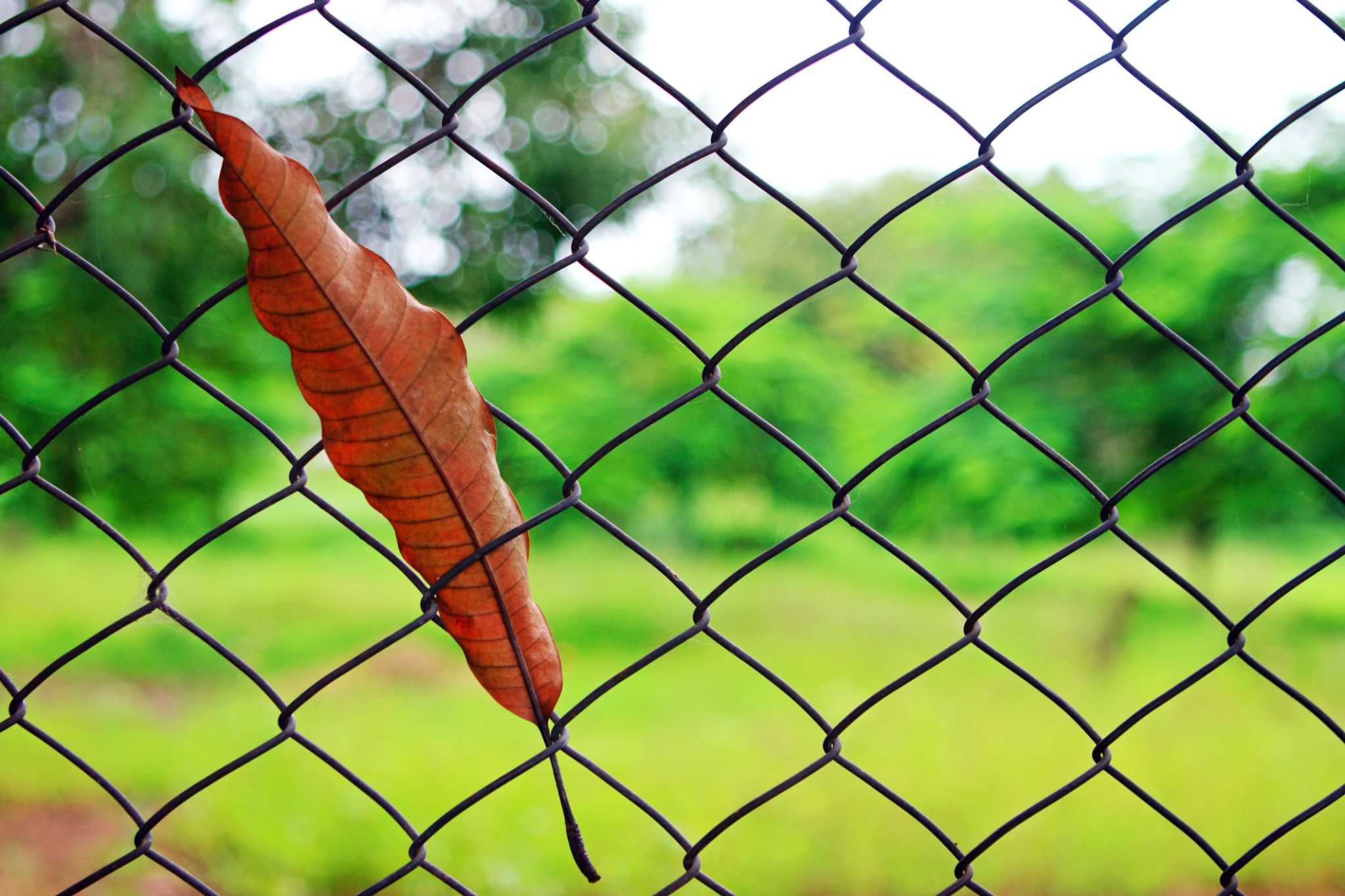 How to Clean Rusted Chain Link Fences