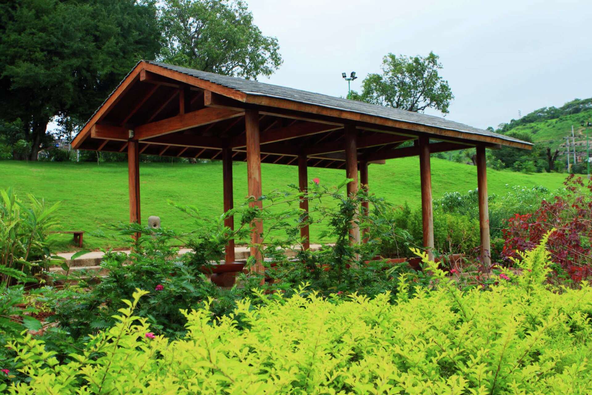 How to Clear a Hillside Slope
