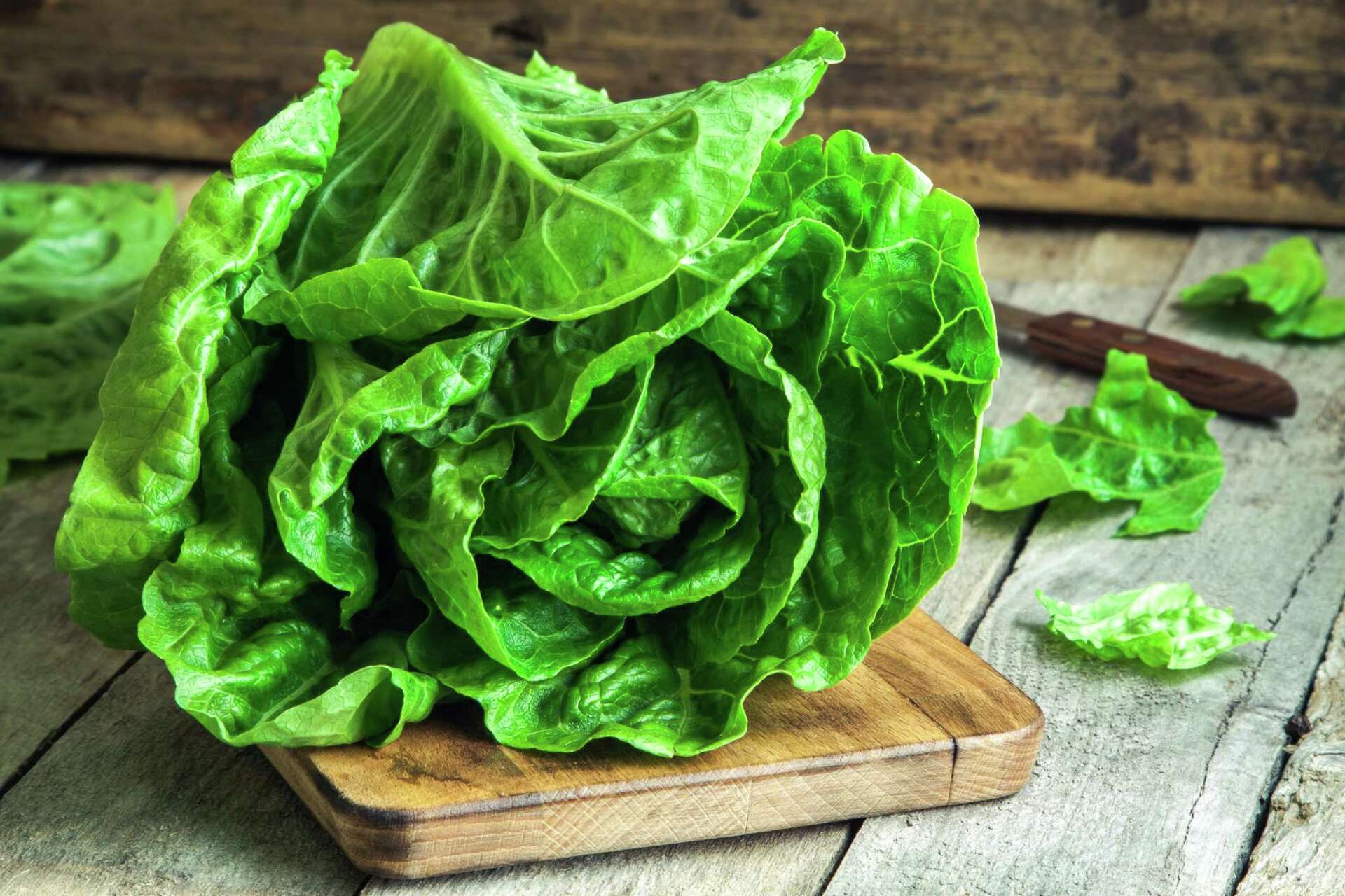 How Much Fiber Is in 2 Cups of Lettuce?