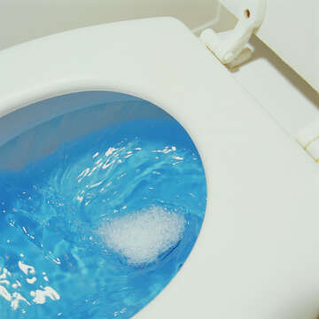 How to Clear a Stopped-Up Toilet