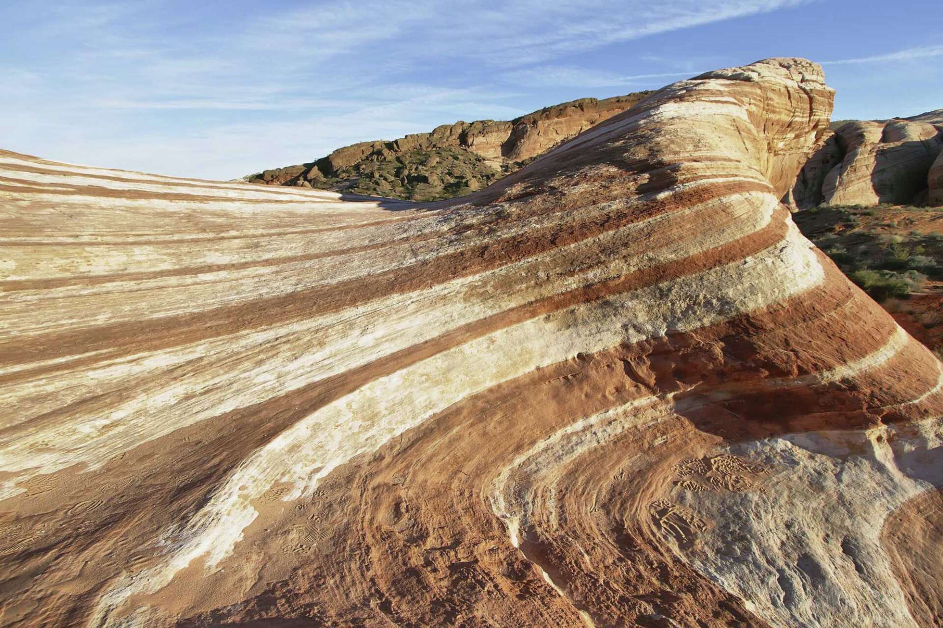 How Do Climates and Landforms Affect the Characteristics of Soil?