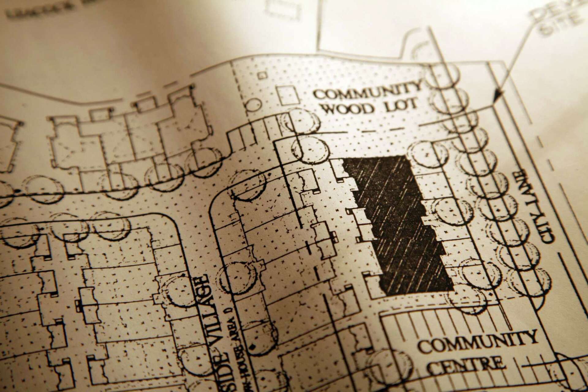 How to Read Landscape Plans