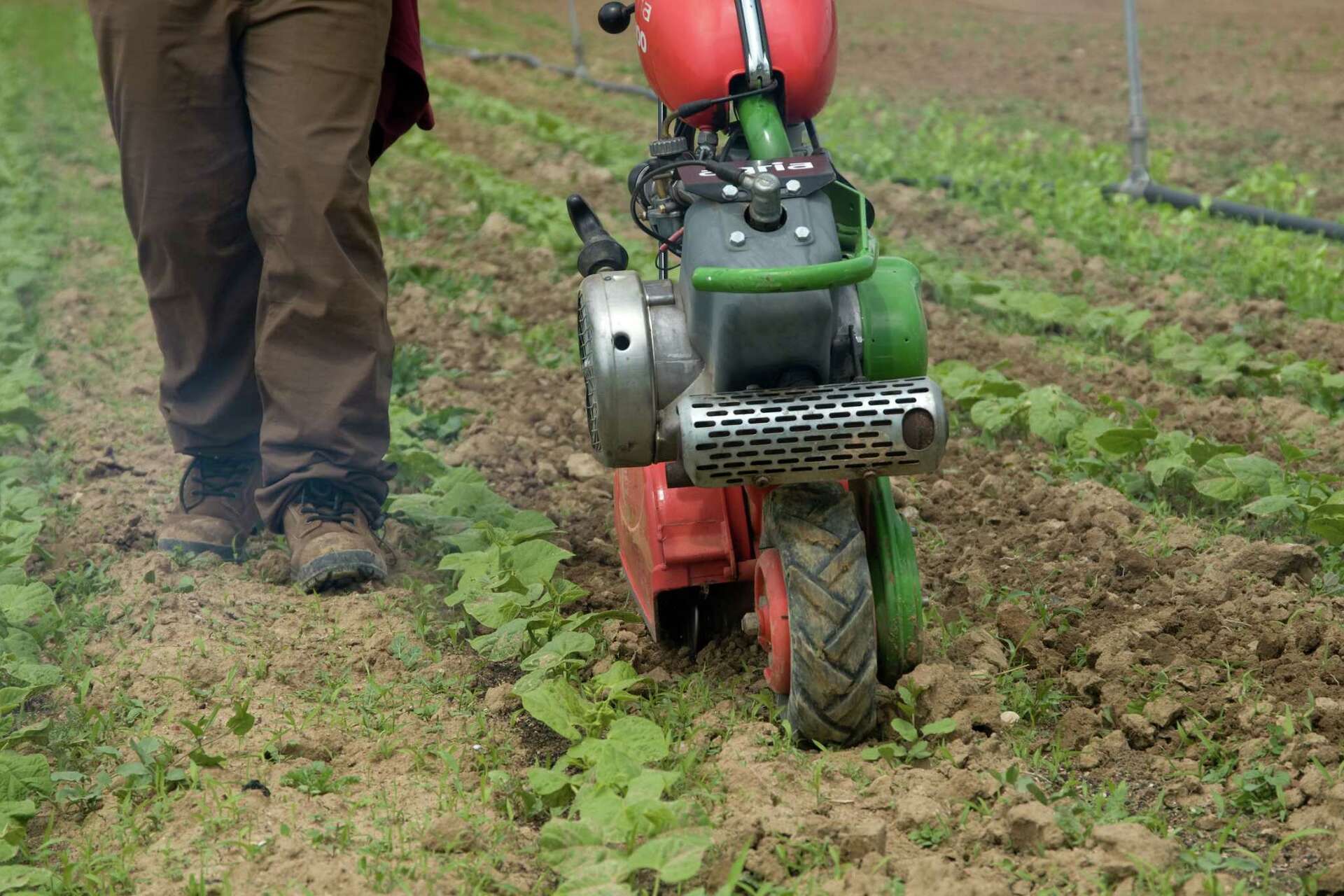 How to Coil the Spring Back Up in a Rototiller