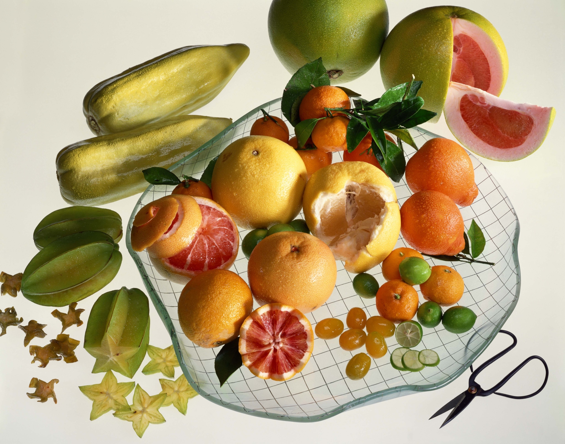 The Most Cold-Hardy Tropical Fruit Trees
