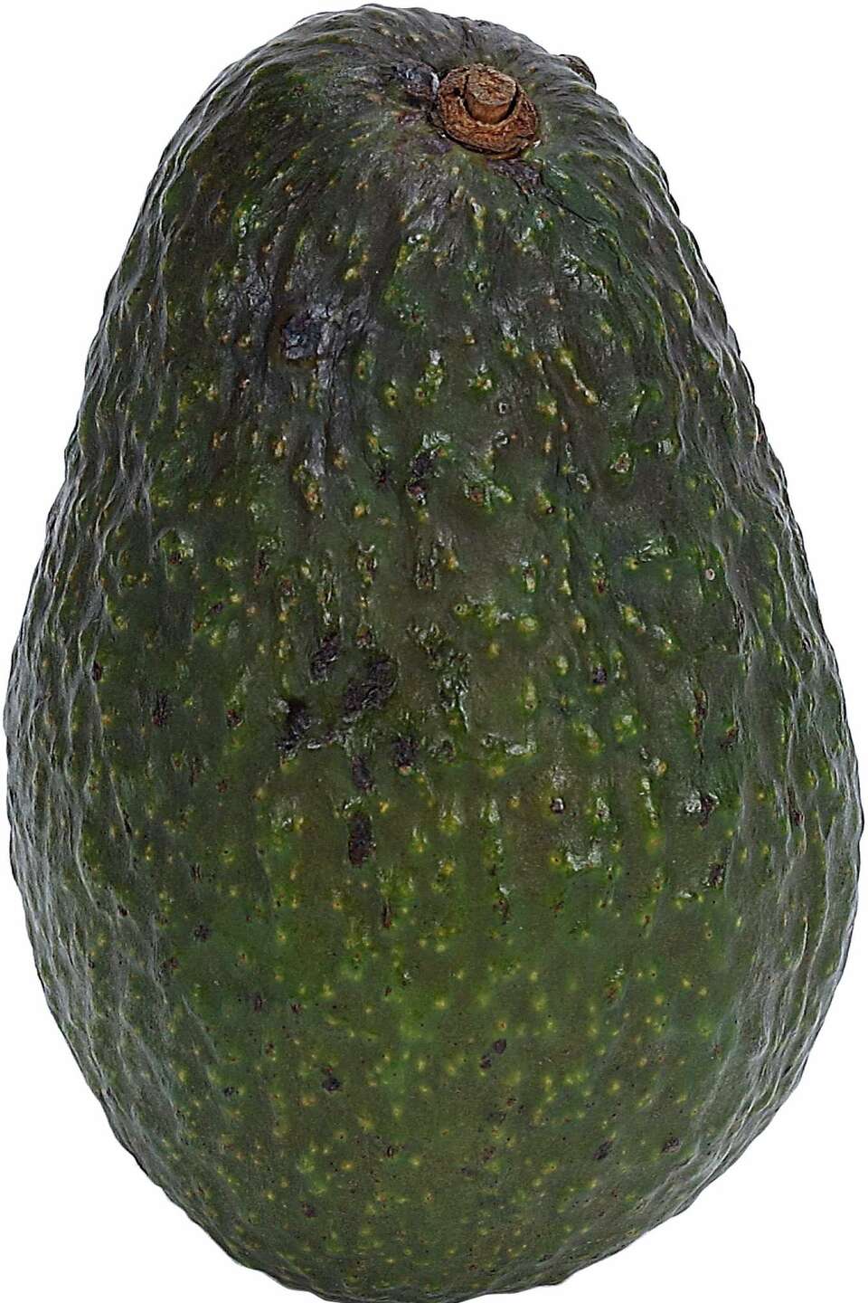 How to Grow Wurtz Avocado