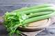 Soluble Fiber in Celery