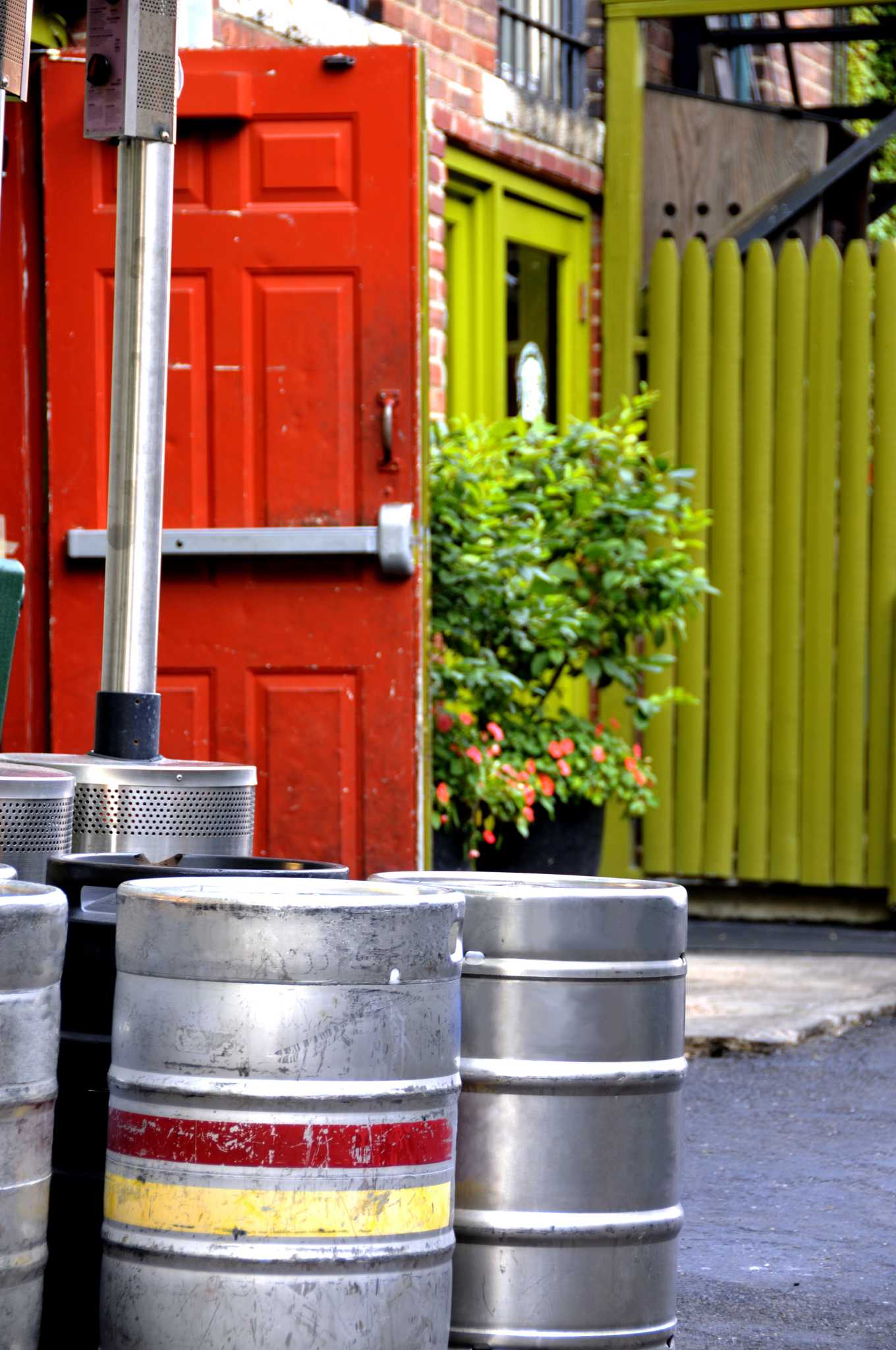 What Color Do You Paint Your Back Door?