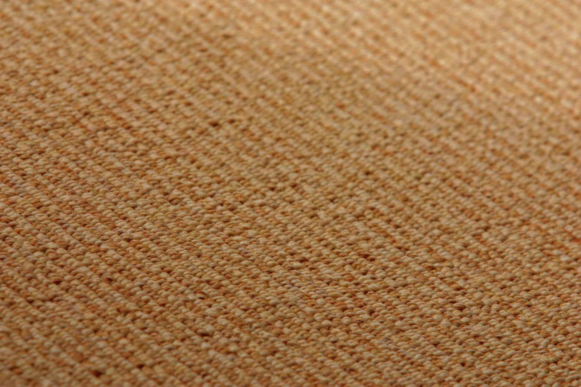 Color Schemes to Match a Caramel Carpet