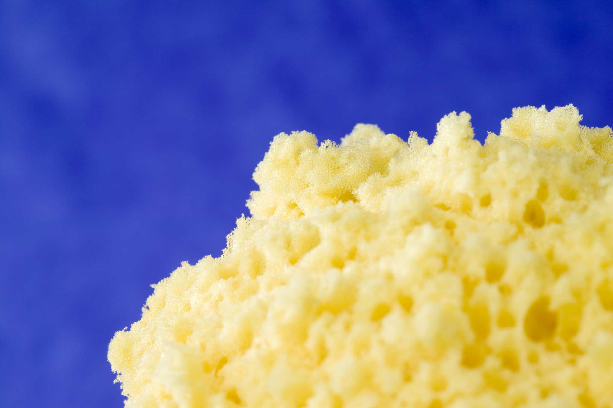 What Colors Look Good When Sponge Painting?