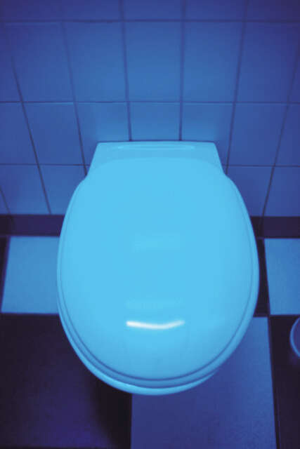 Colors of American Standard Toilets in the 1960s