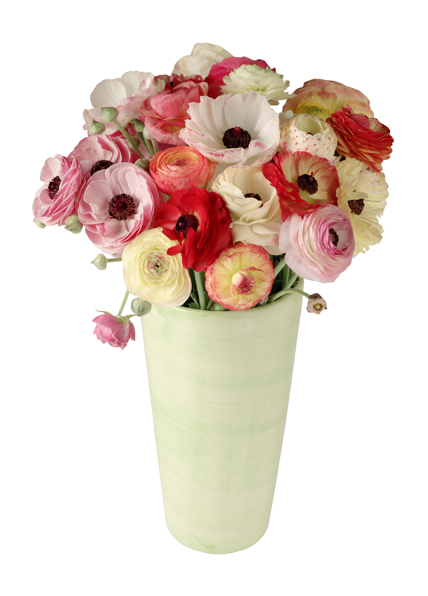 What Colors Are Ranunculus?