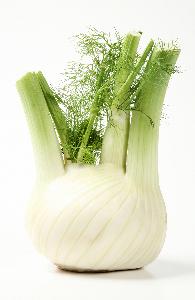 Cooking Fennel Root