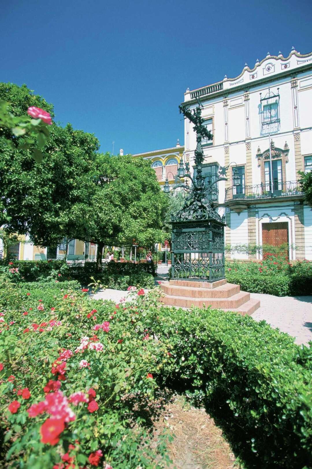 How to Plant Boxwoods Around Trees