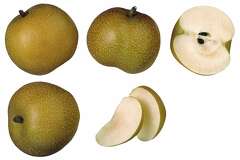 Cross-Pollination of Pear Trees