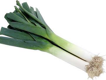 How to Grow Leeks in Tubes