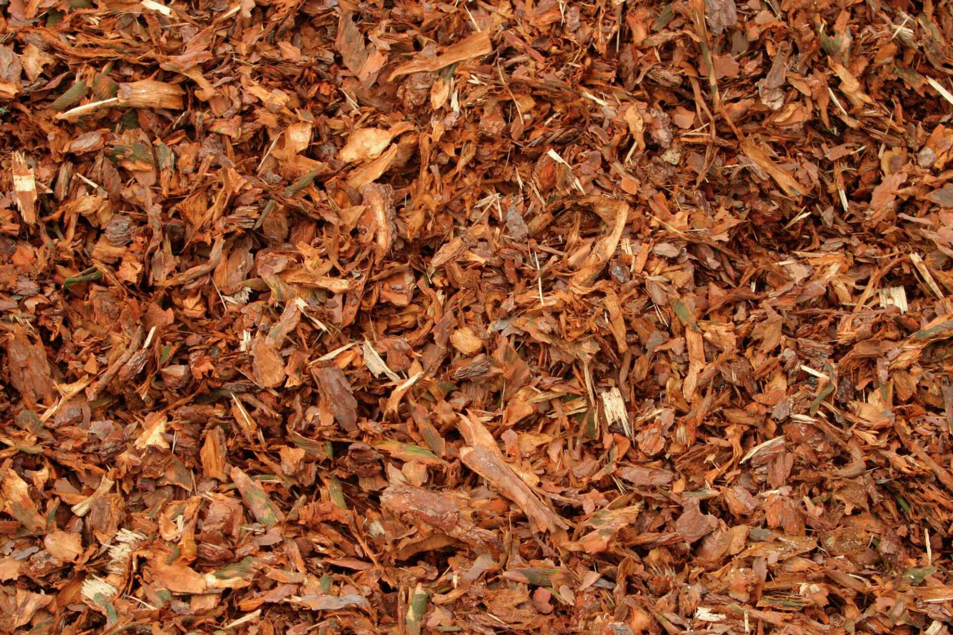 Pine Bark Vs. Hardwood Mulch