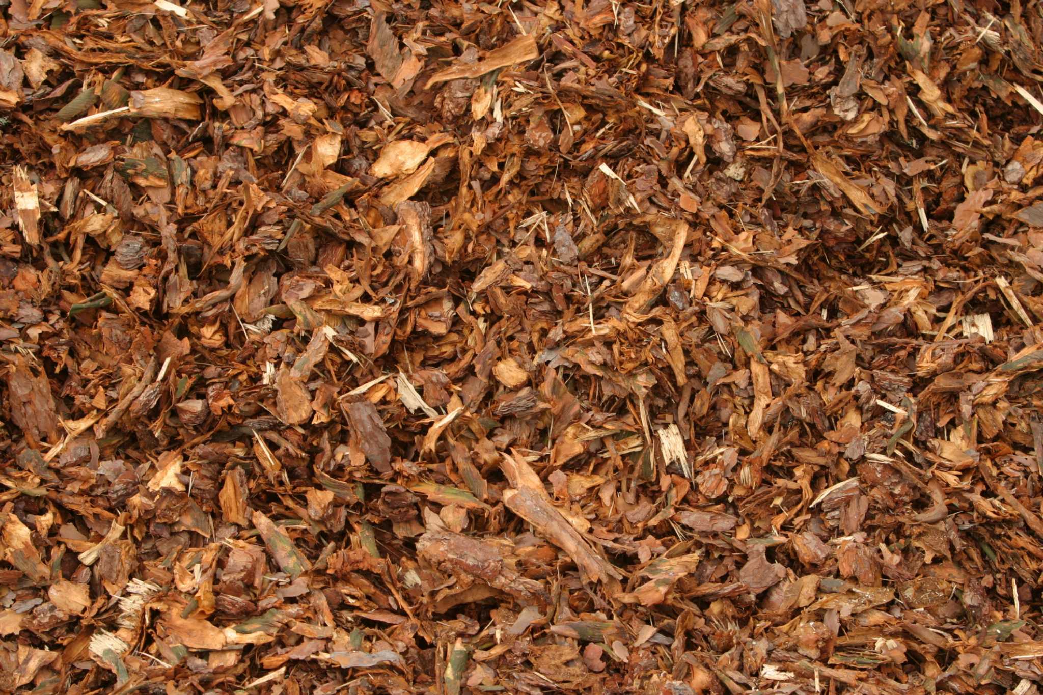 Pine Bark Vs. Hardwood Mulch