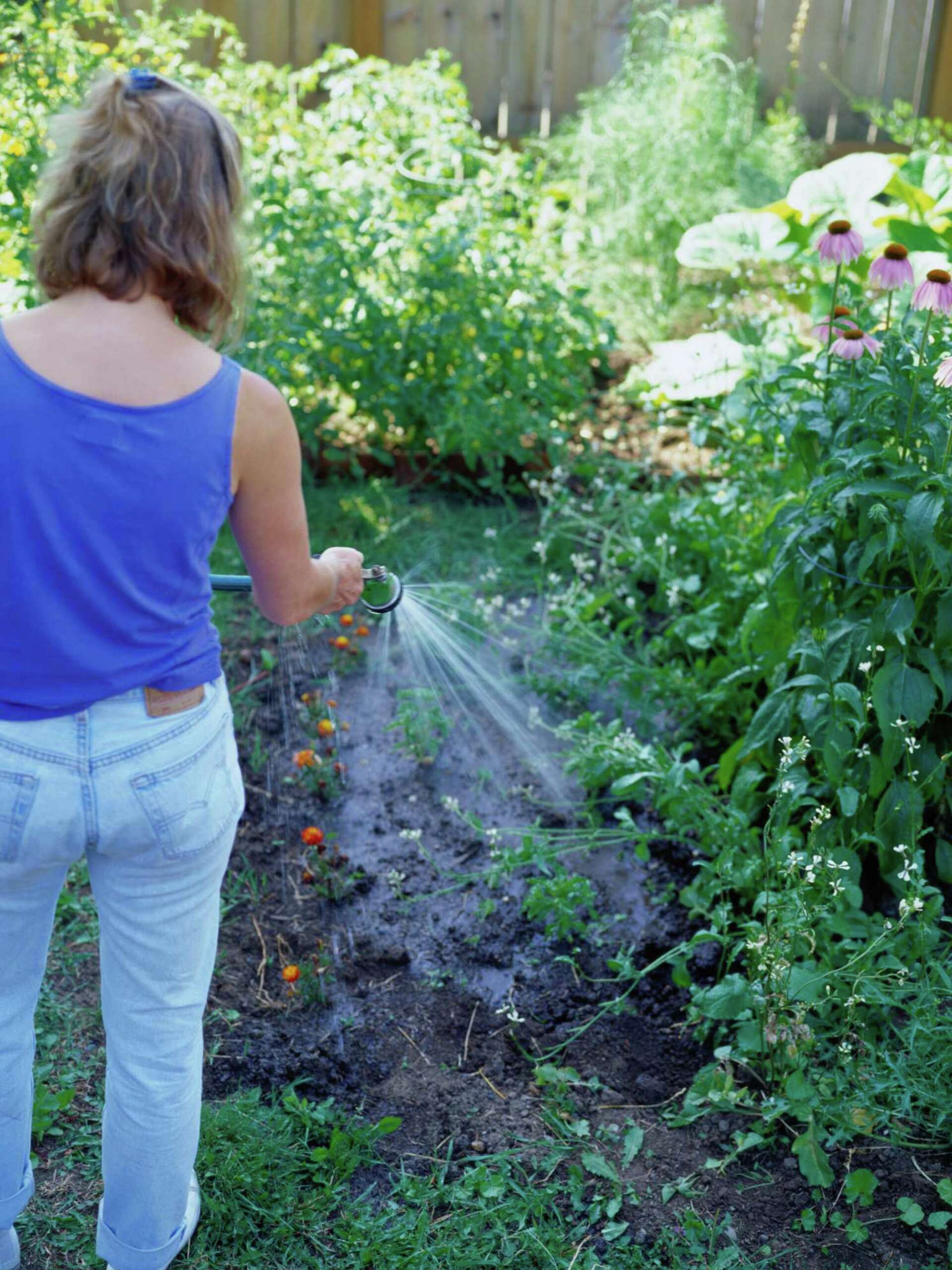 How Much Potash to Use in a Vegetable Garden?