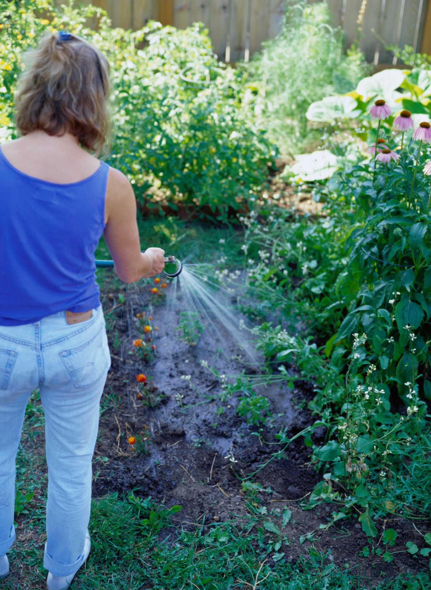 How To Eliminate The Effects Of Roundup