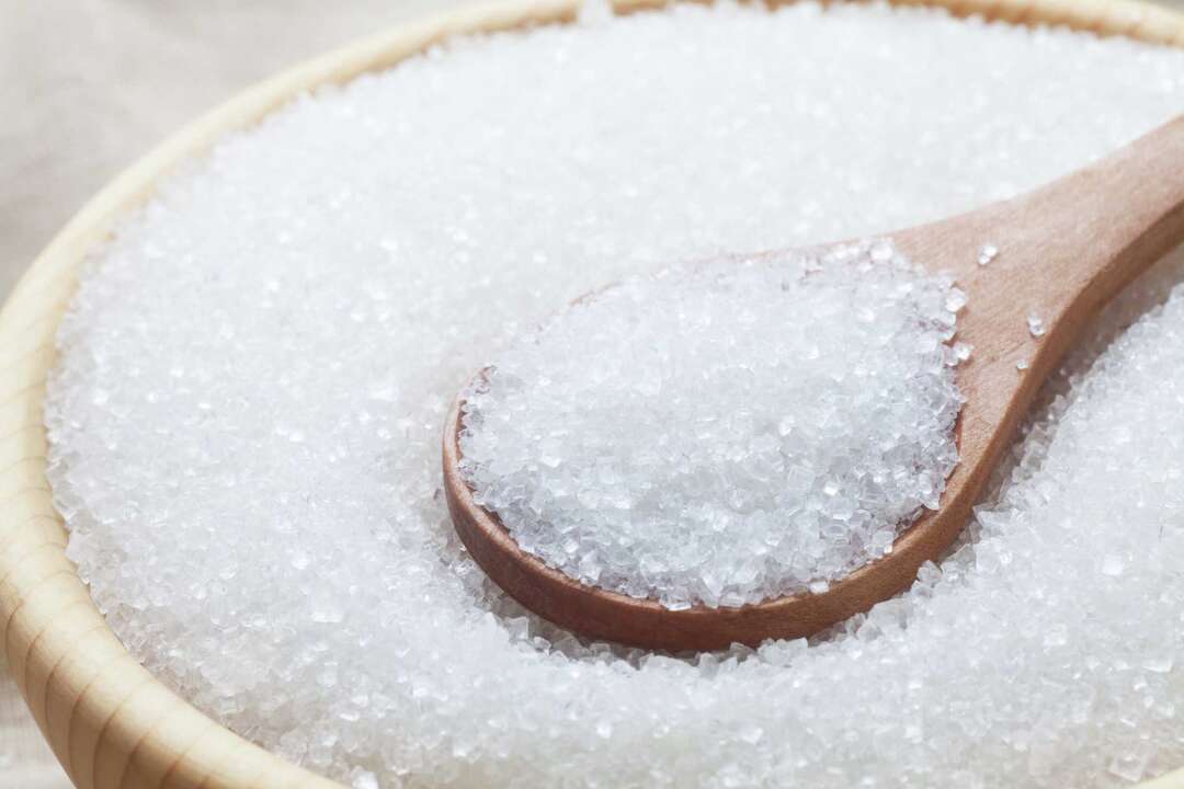 The Digestion & Absorption of Sucrose