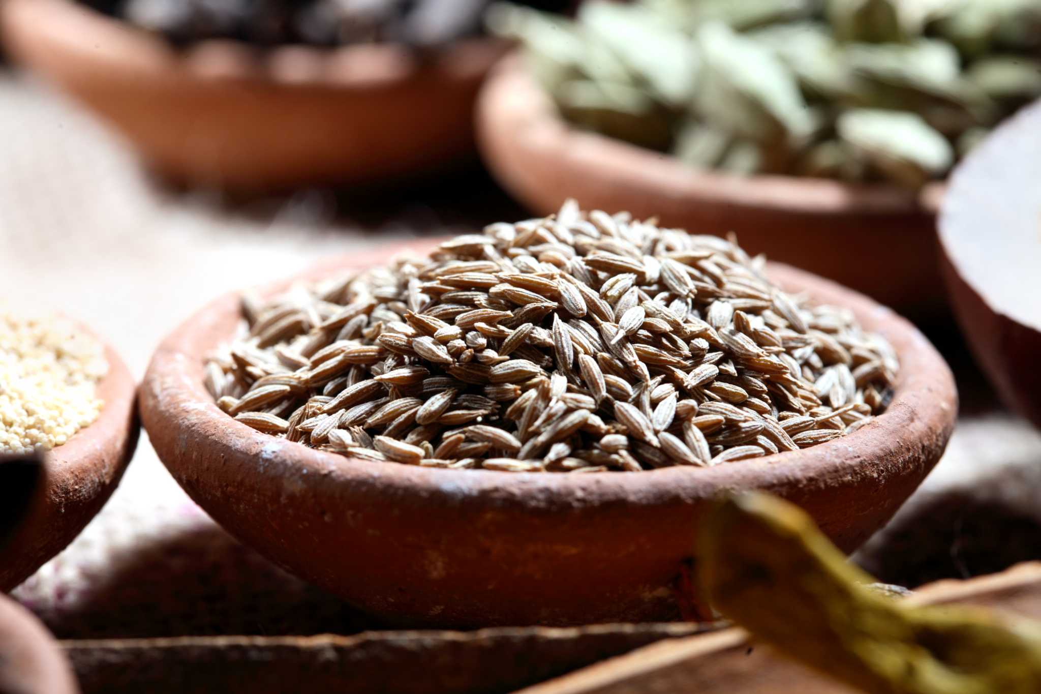 Digestive Benefits of Cumin Seed