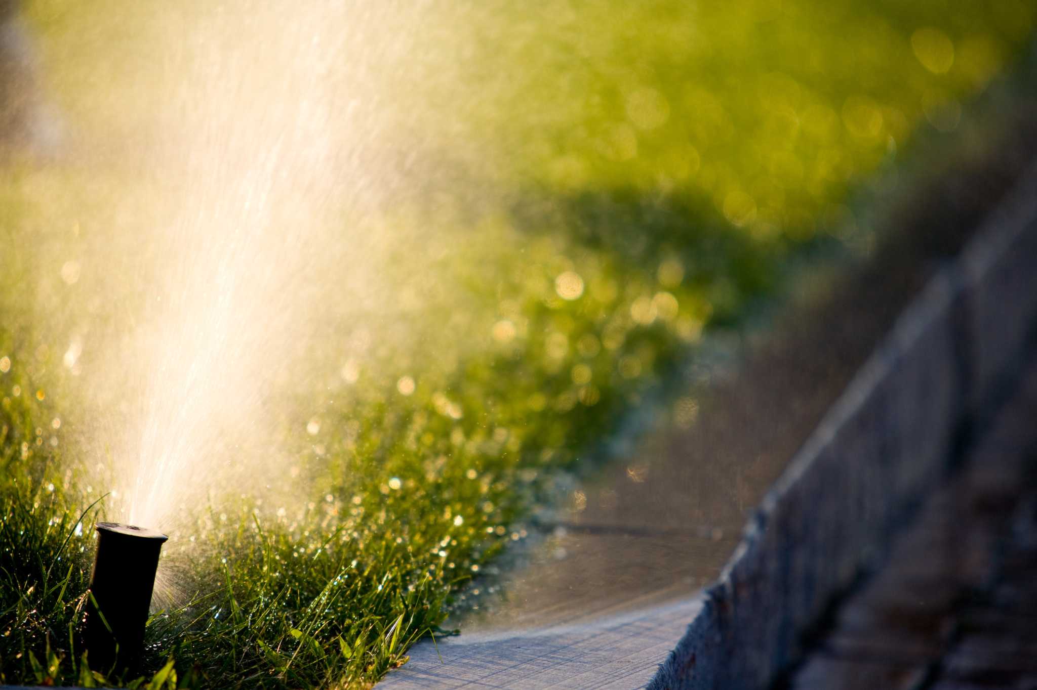 How To Trim Grass From Sprinkler Heads